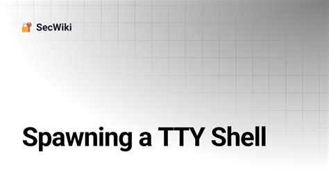 Spawning A Tty Shell Secwiki Spawning A Tty Shell Secwiki
