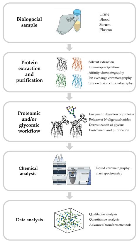Proteomics Sample Preparaton For Mass Spectrometry Analysis Core Facility