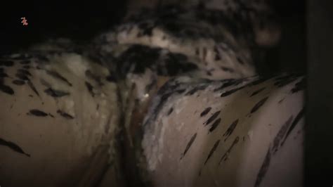 Kostenlose Caged Porno Videos Von Xhamster