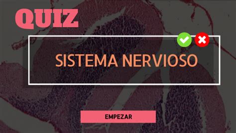 Sistema Nervioso Genially Sistema Nervioso Genially