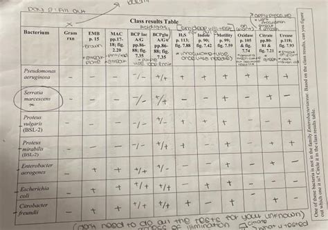 Solved I Need To Make A Dichotomas Key For This Chart To