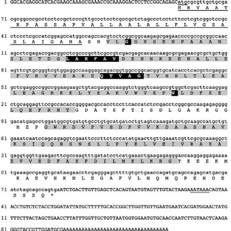 nucleotide and deduced amino acid sequence of the cdna encoding wheat