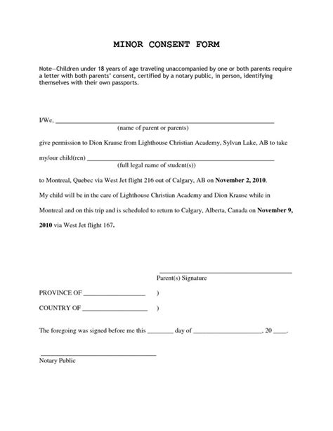 Issuance Of Us Passport To A Minor Form