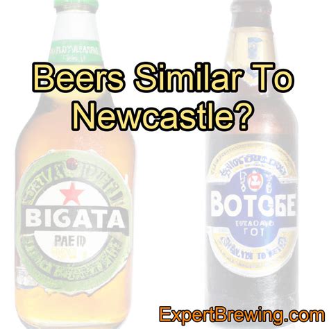 Beers Similar To Newcastle