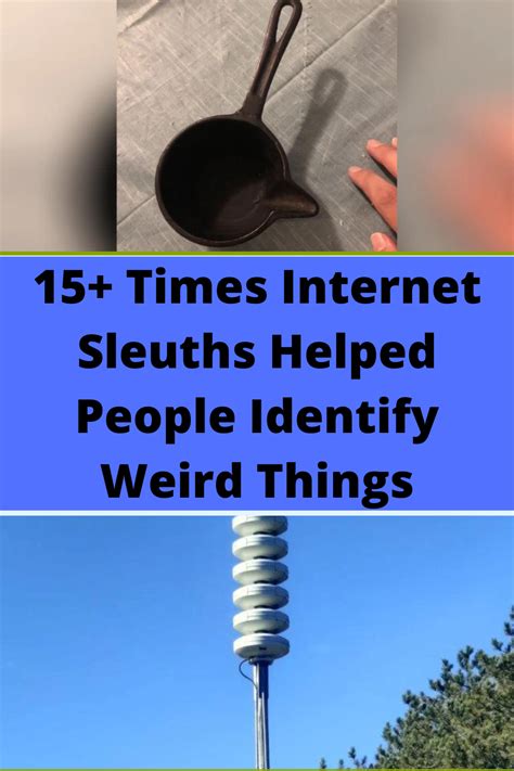 15 times internet sleuths helped people identify weird things artofit