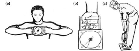 A Scapular Dynamometry B Handgrip Dynamometry C Lumbar Dynamometry Download Scientific Diagram