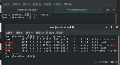 进程管理与用户权限：kill、killall与pkill的使用 Csdn博客