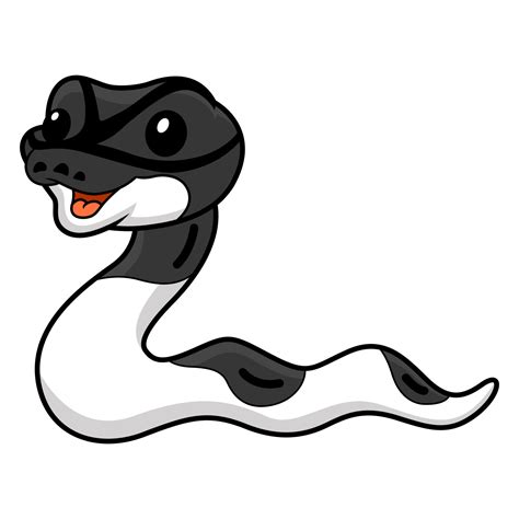 Cute Panda Pied Ball Python Cartoon 22431701 Vector Art At Vecteezy