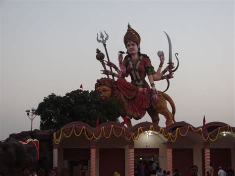 उन्मुक्त गाय या भैंस के चमड़े को अन्दर नहीं ले जा सकते