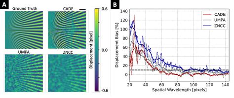 Figure 1 From Convolutional Neural Network Based Single Shot Speckle Tracking For X Ray Phase