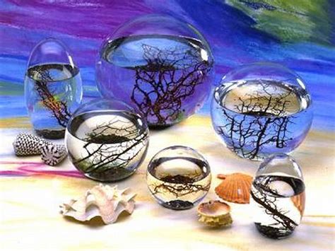 Ecosphere Worlds First Totally Enclosed Ecosystem Ecofriend