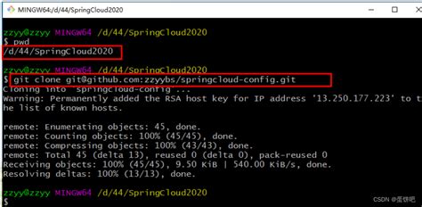 【springcloud框架之config分布式配置中心】spring Cloud Config 更新环境配置指定本地仓库 Csdn博客