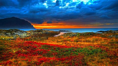 Nature Scenery Wallpapers 4k Hd Backgrounds On Wallpaperbat