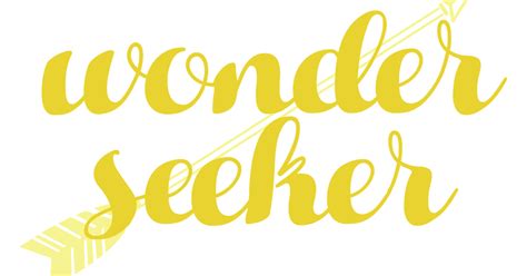 Wonder Seeker The Wonder Seeker