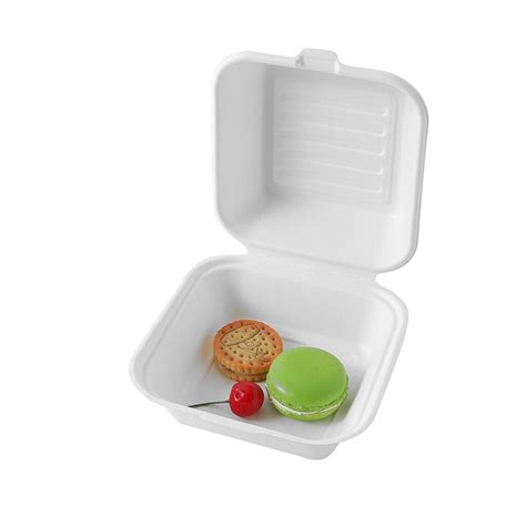 Bagasse Clamshell Box And Plate Food Packaging