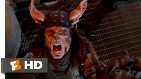 12508834 Not So Sneaky Kangaroo Caught Trying To Break Into