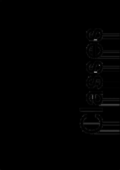 Classes Strength Wellness Collective