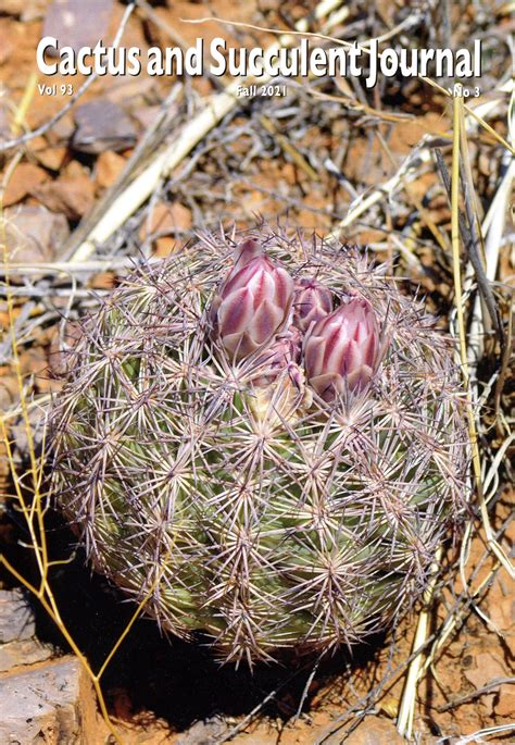 Cactus And Succulent Journal Cactus And Succulent Society Of America