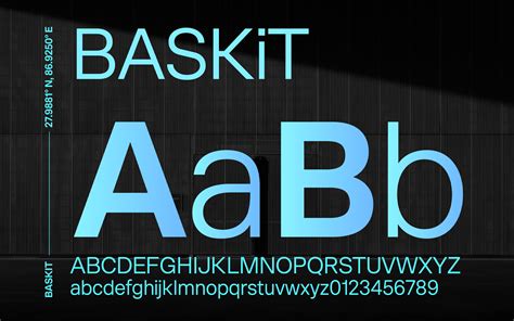 Baskit E Commerce Font New Web Font Momentum 18