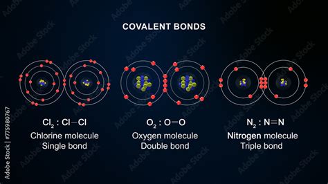 Covalent Bonds In Chlorine Oxygen And Nitrogen 3d Illustrator Stock