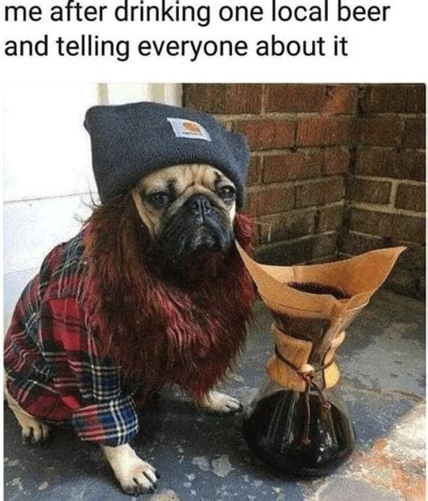 39 Funny Beer Memes Thatll Leave You Buzzing For More