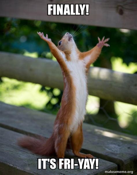 Finally Its Fri Yay Happy Squirrel Meme Generator