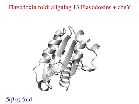 Introduction To Bioinformatics 2007 Lecture Ppt Download