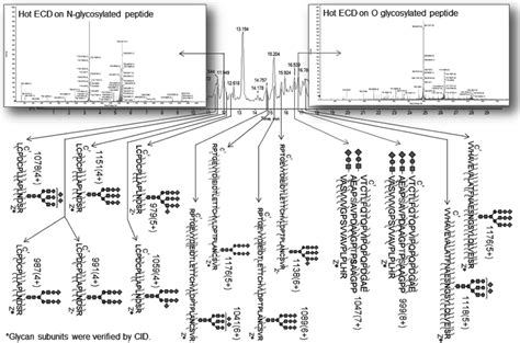 Lc Hot Ecd Ms Of A Tryptic Digest Of Bovine Fetuin In Simultaneous
