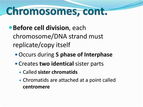 Ch 10 Review And Ch 11 Meiosis Intro Ppt Download