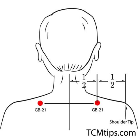 5 Shoulder Pressure Points You Must Know Easy Tcm Wisdom Your Path