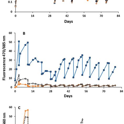 Serial Dilution Experiments At 50 Nmol L⁻¹ Fe A Optical Densities Download Scientific Diagram