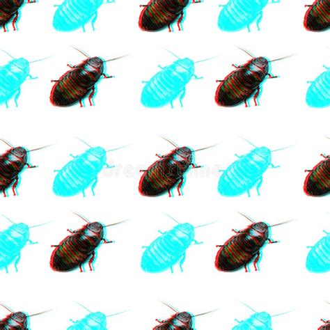 Madagascar Cockroach Stock Illustrations 51 Madagascar Cockroach