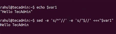 Bash Remove Double Quote From A String Tecadmin