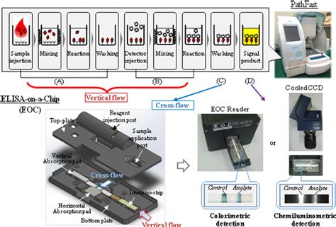 Comparison Of The Elisa Processes Used For A Commercial Analyzer