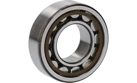 Skf Einreihige Zylinderrollenlager Baureihe Nu