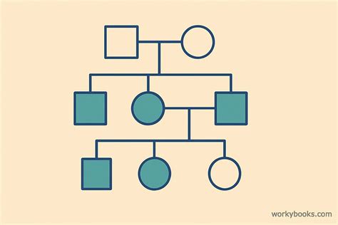 Pedigree Chart Definition Facts Example Quiz Genetics Learning