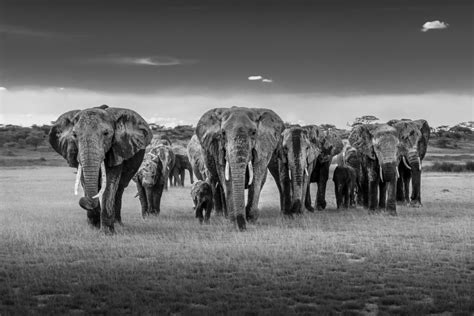Shiv Iyer On Linkedin Optimizer Index Caching In Postgresql