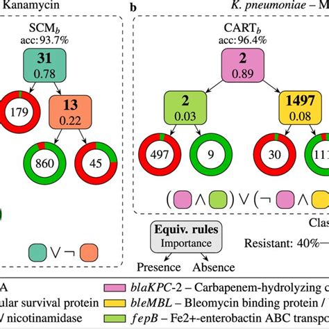 8 Band Structure Of Metalp Type Semiconductor Schottky Junction At