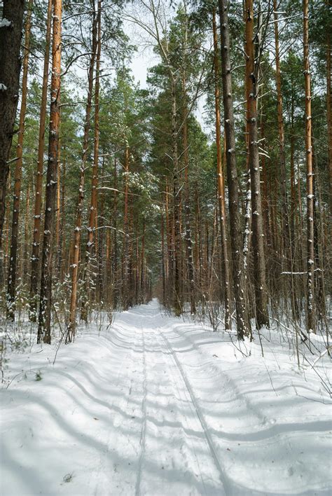 Prank Wallpaper Photos Download The Best Free Prank Wallpaper Stock