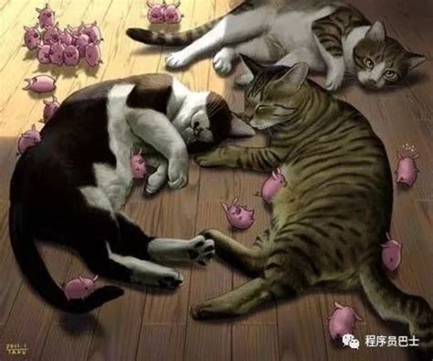 学不动也要学！ viewpager2新特性 知乎