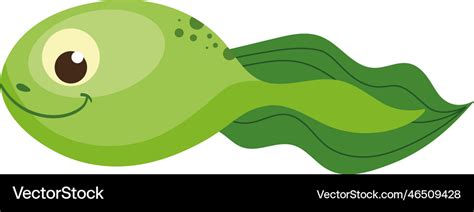 Cute Tadpole Cartoon Royalty Free Vector Image