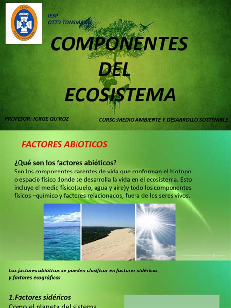 Componentes Del Ecosistema Pdf Ecosistema Suelo