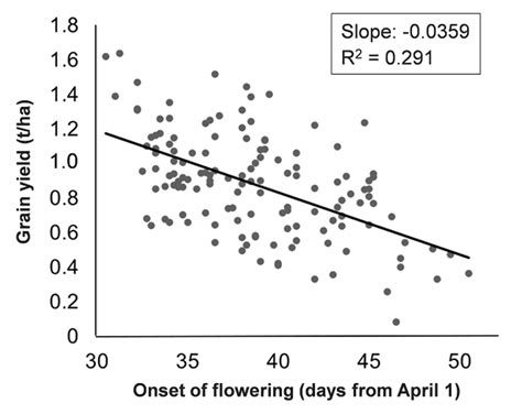 linear regression of grain yield under drought stress as a function of