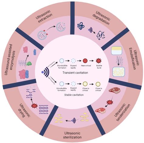 Prospects For The Application Of Sonodynamic Technology In Food