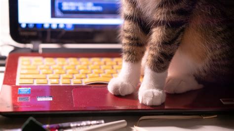 【sql Server】論理演算子 Betweenの使い方