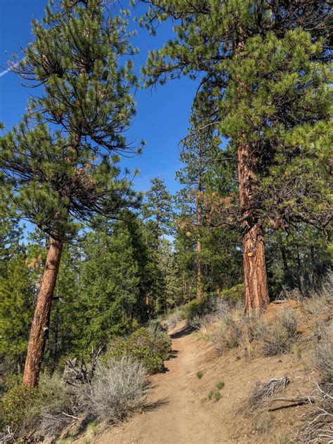 Shevlin Park Loop Hike Oregon