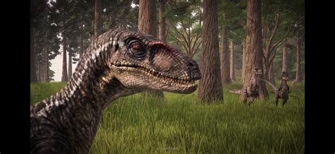 Best Look The Sorna Male Raptor Yet The Female Is Also In The