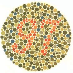 Ishiharas Test For Colour Deficiency 38 Plates Edition Colblindor