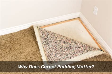 Why Does Carpet Padding Matter