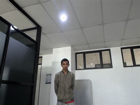 Pblif5 Object Detection Dataset And Pre Trained Model By Percobaan